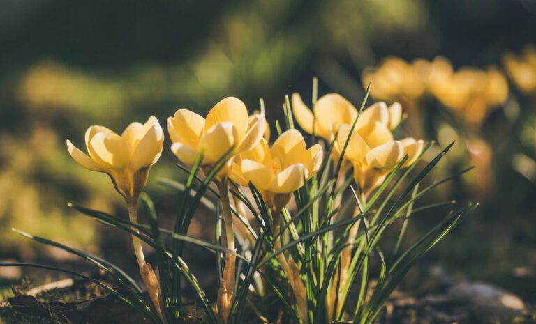 Section 136 Suites | Health Spaces 🏥